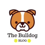 Proper English Bulldog Grooming: A Comprehensive Guide – The Bulldog Blog
